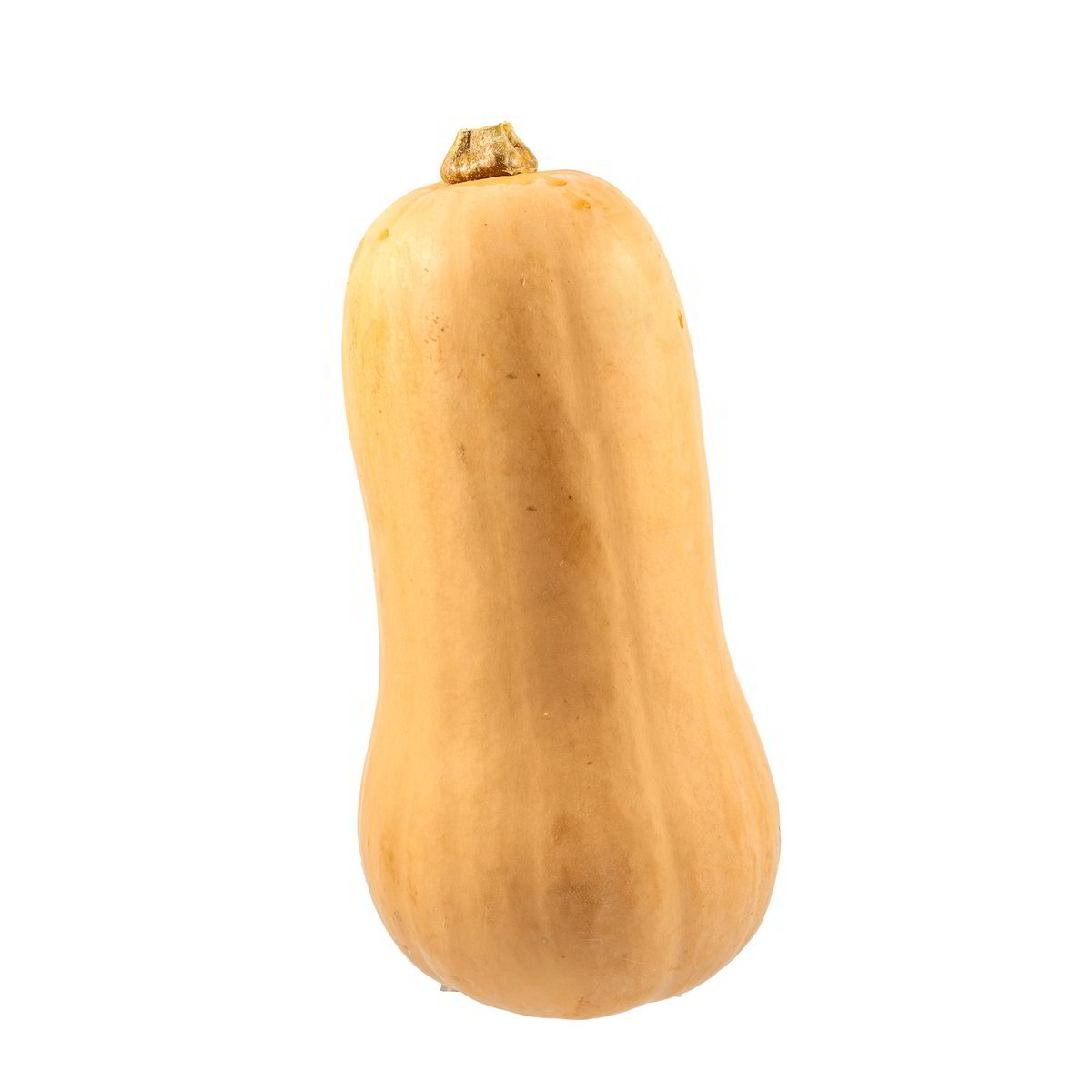 ZUCCA GIALLA LUNGA - DupliClick