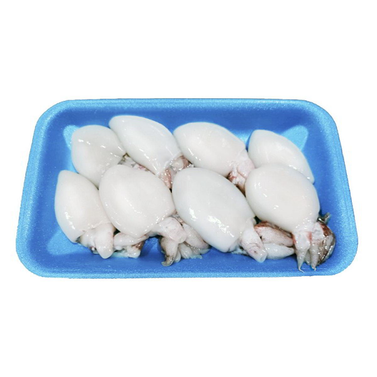 SEPPIA DECONGELATA - DupliClick